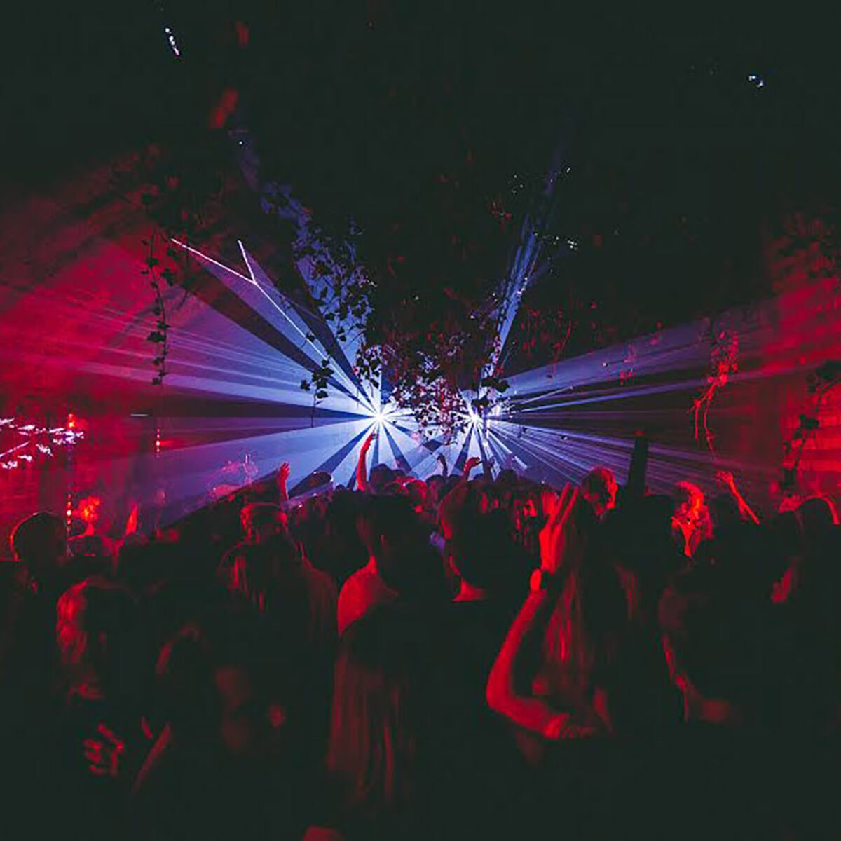 Party Venue Hire | Event Venue Hire London | Sugar & Rind